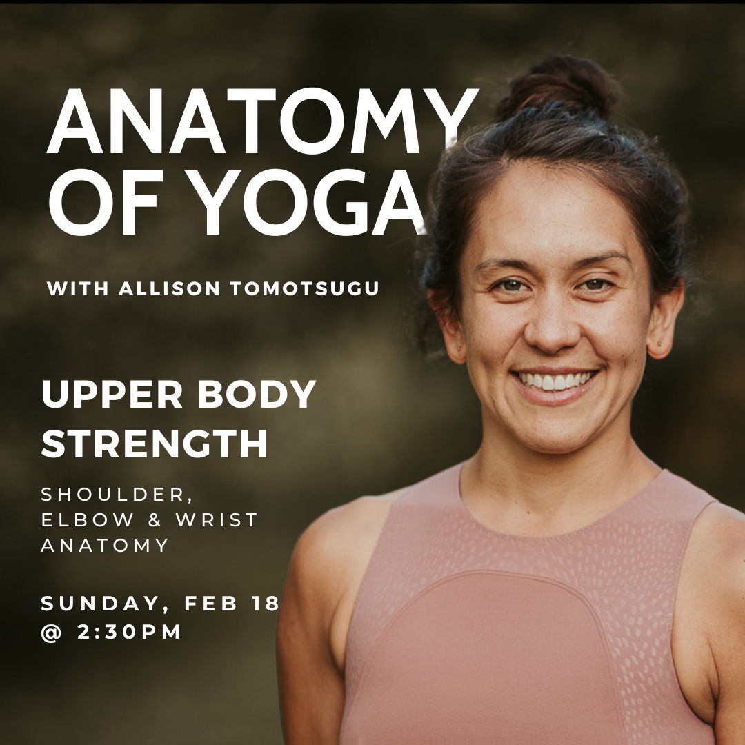 Astanga Yoga Ottawa – Vinyasa Practice for Everyone